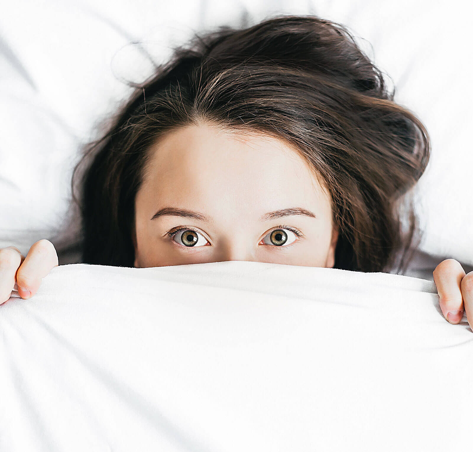 Application areas - Barbara Bauer